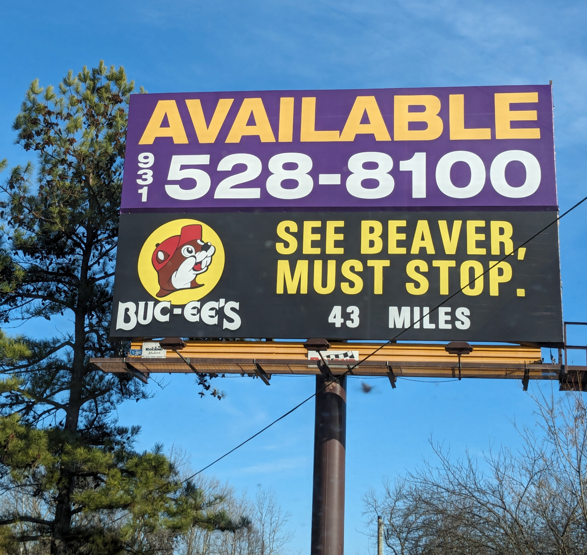 Buc-ee's Billboards Are Awesome